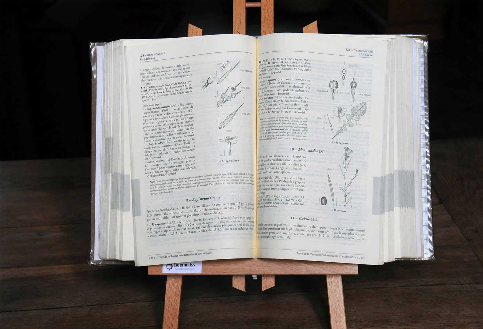 Botamalys - Flore de la France méditerranéenne continentaleJean-Marc ...