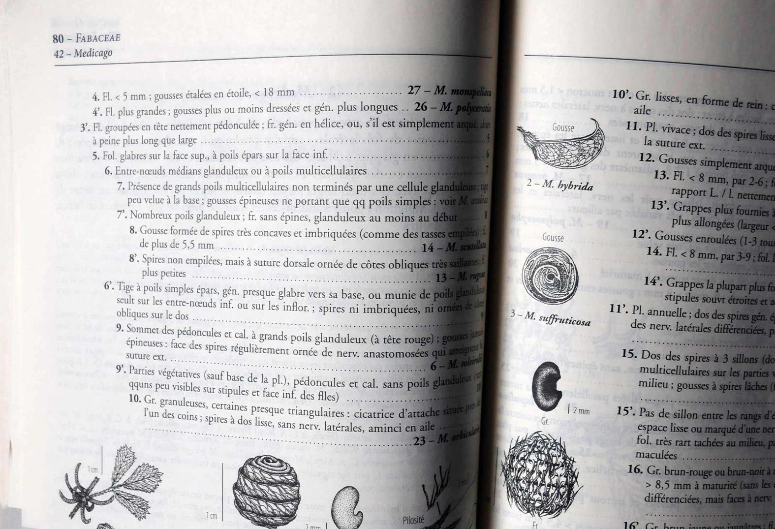 Botamalys - Flore de la France méditerranéenne continentaleJean-Marc ...